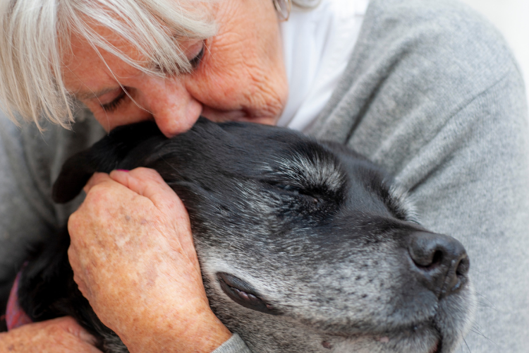 A Good Death: Improving End-of-Life Care WebinarPLUS